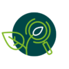 FERTIGOFOL ULTRA - Agronutrition